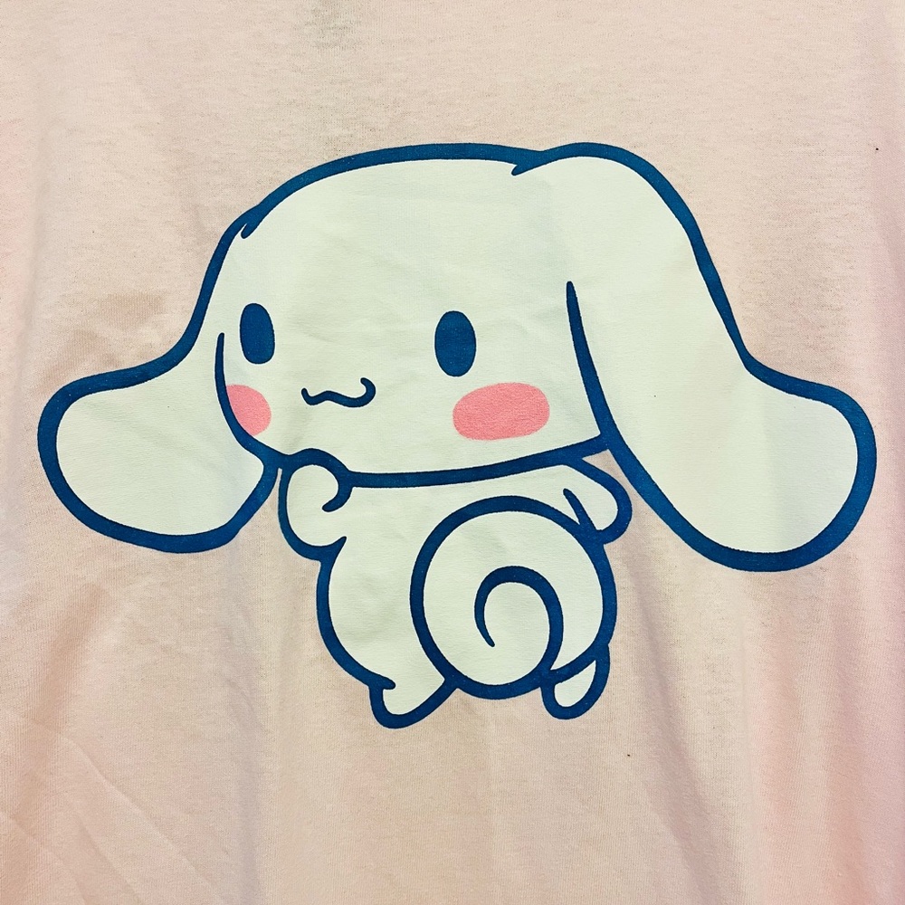 Sanrio Cinnamoroll Character Graphic Long Sleeved T-S… - Gem